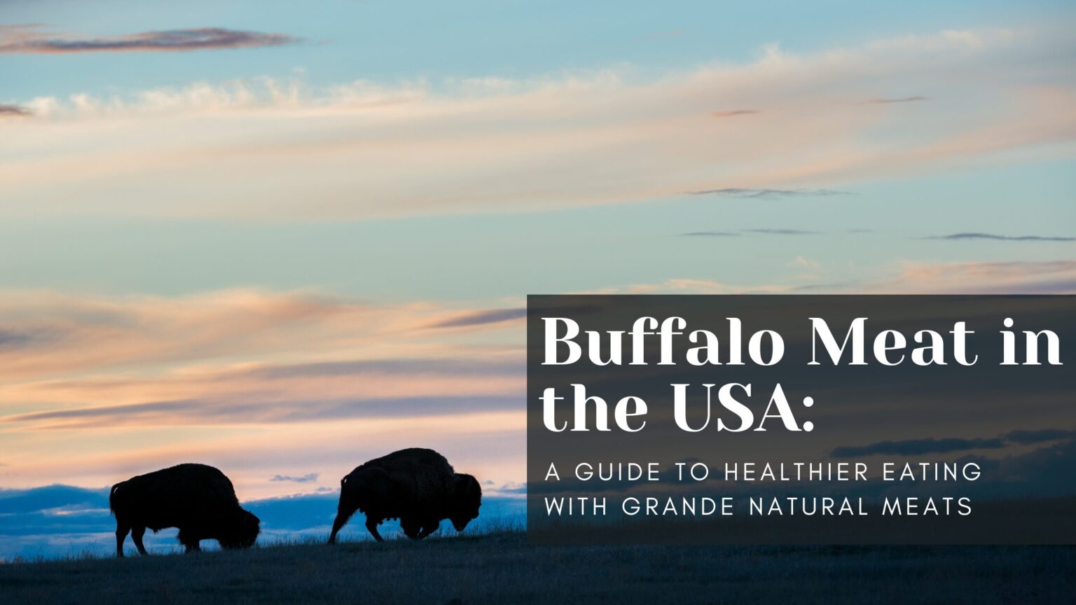 Buffalo Meat in the USA: A Guide to Healthier Eating – ElkUSA