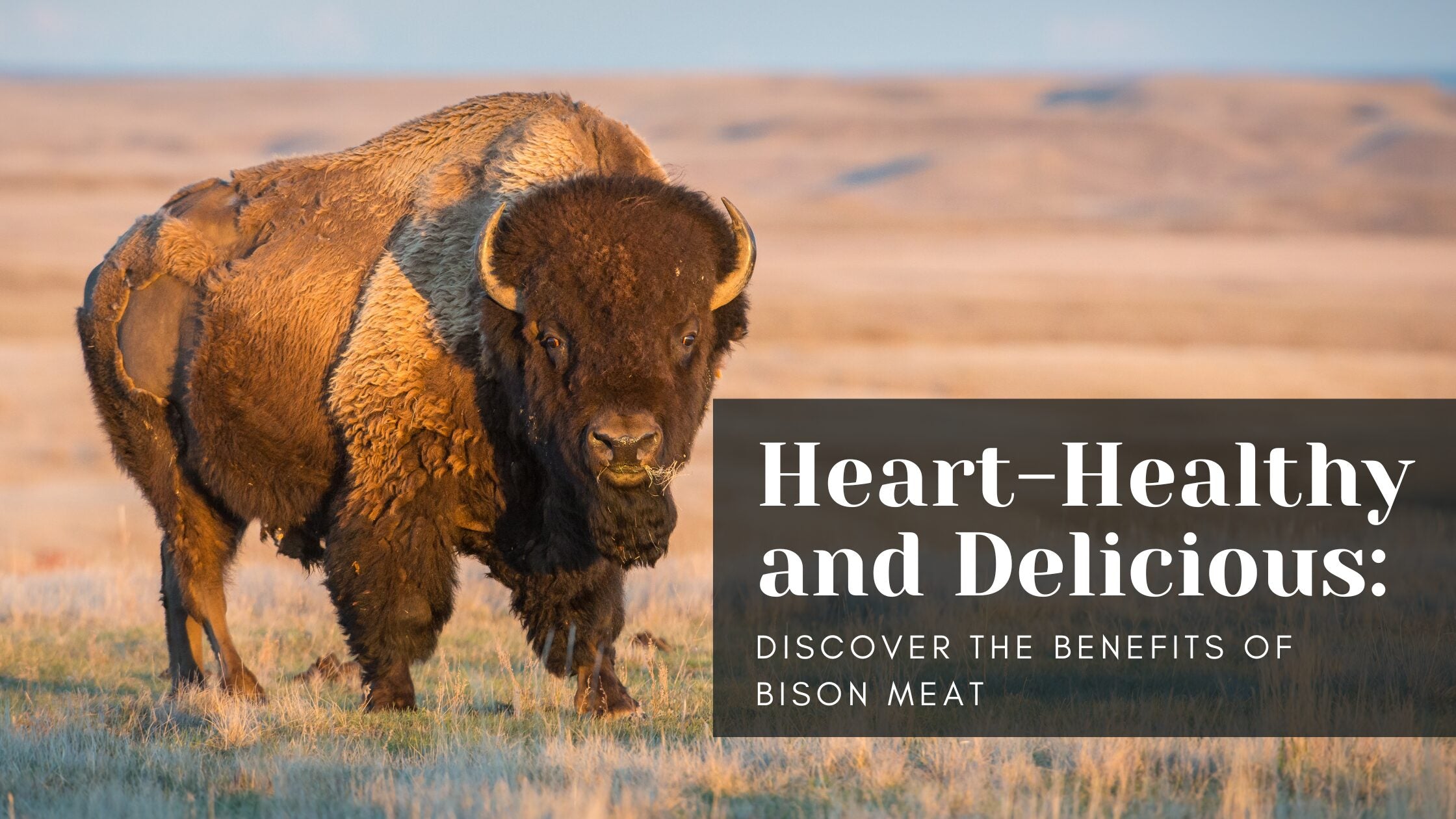 Heart-Healthy and Delicious: Discover the Benefits of Bison Meat – ElkUSA