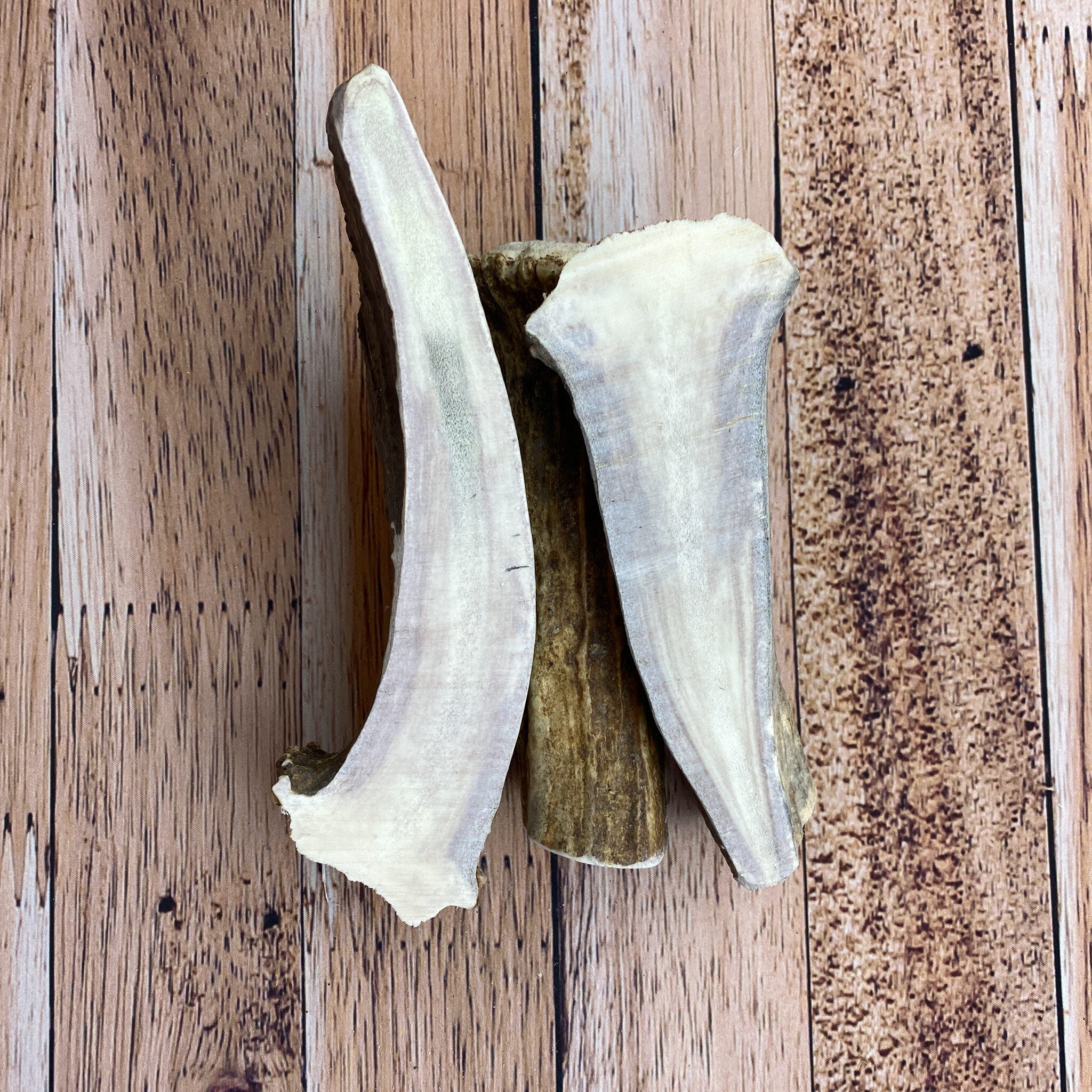 Split Moose Beams – ElkUSA
