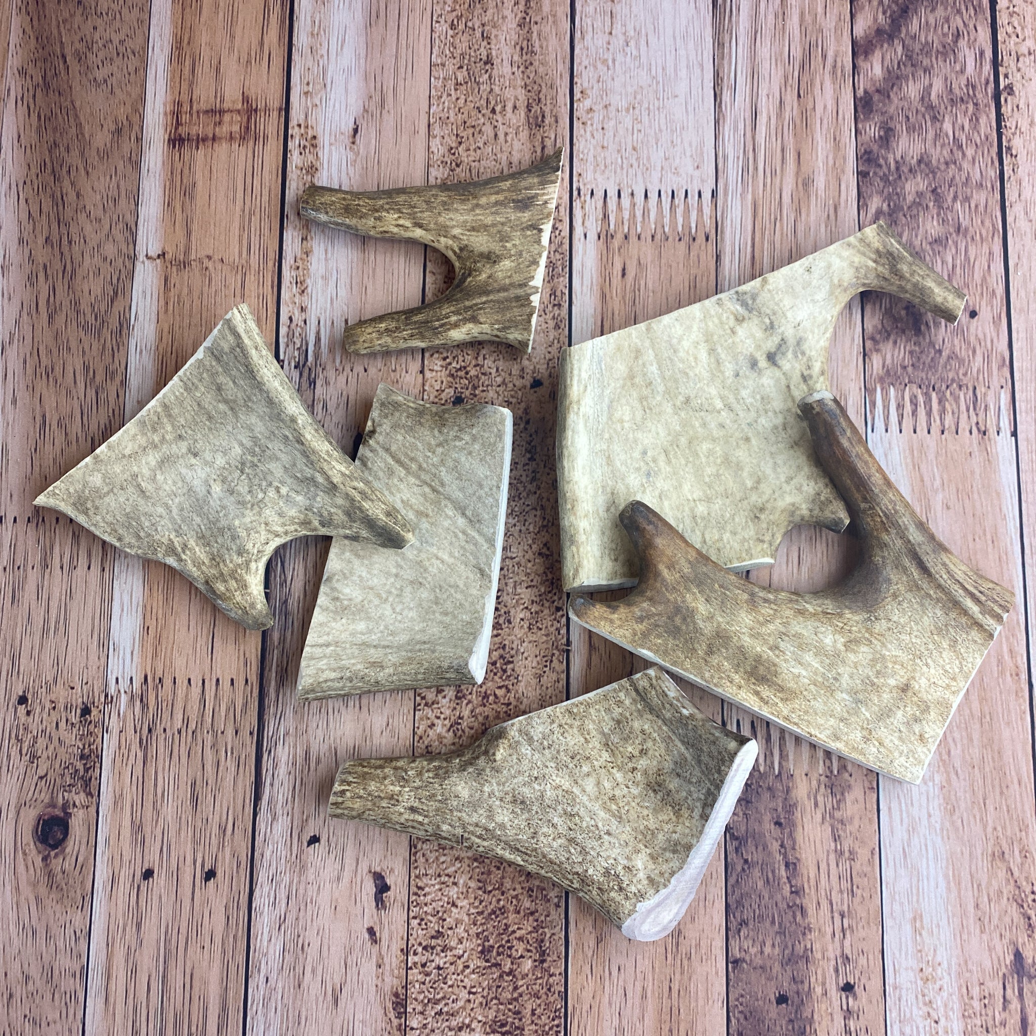 Moose Chews – ElkUSA